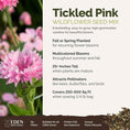 Tickled Pink - Pink Flower Seed Mix | Wildflower Seeds | Eden Brothers