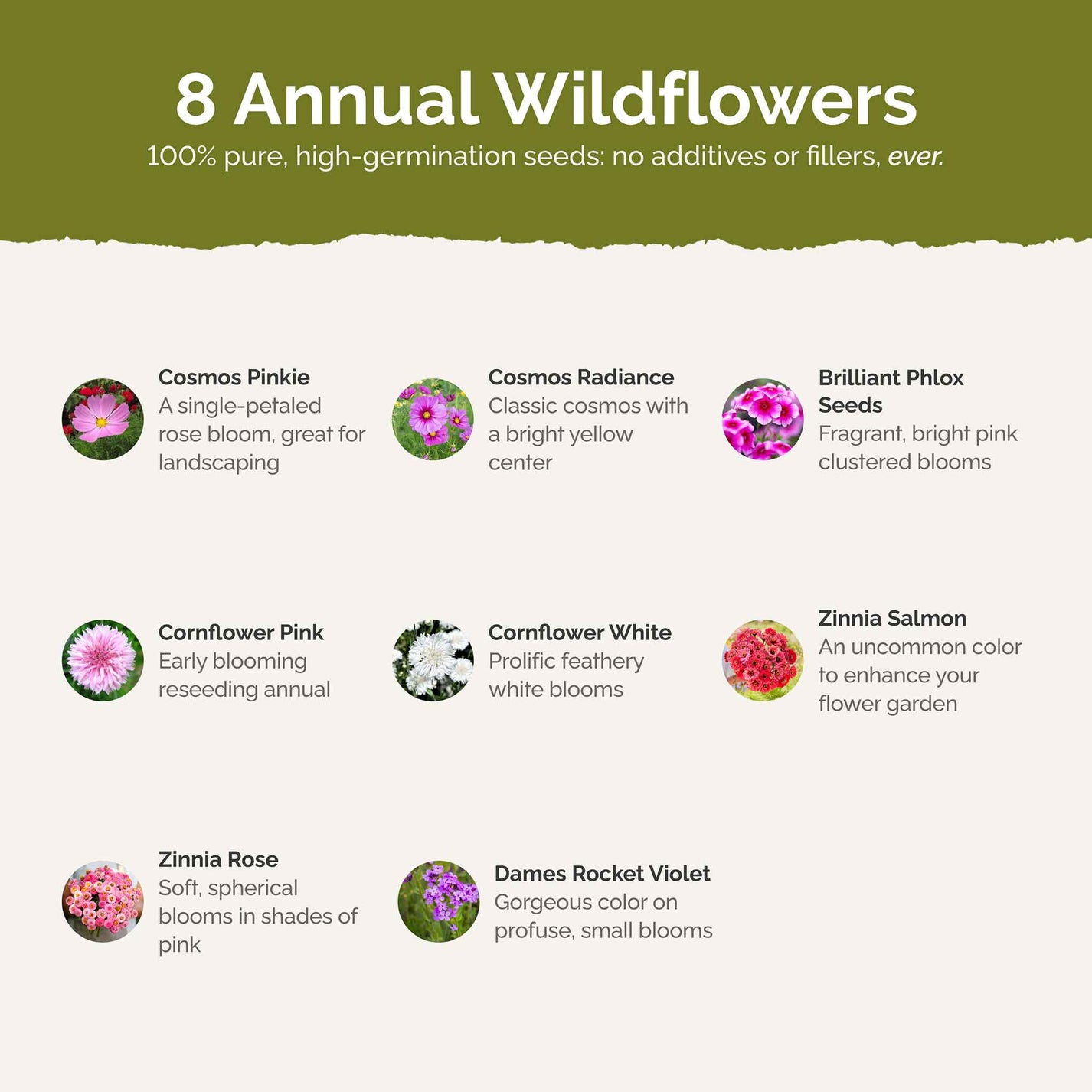 Tickled Pink - Pink Flower Seed Mix | Flower Seeds | Eden Brothers