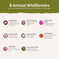 Tickled Pink - Pink Flower Seed Mix | Wildflower Seeds | Eden Brothers