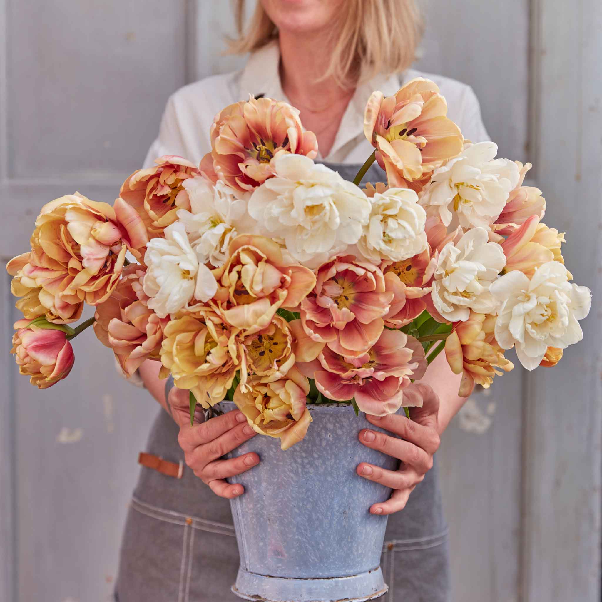 Tulip Bulbs - Chardonnay Mix | Fall Flower Bulbs | Eden Brothers
