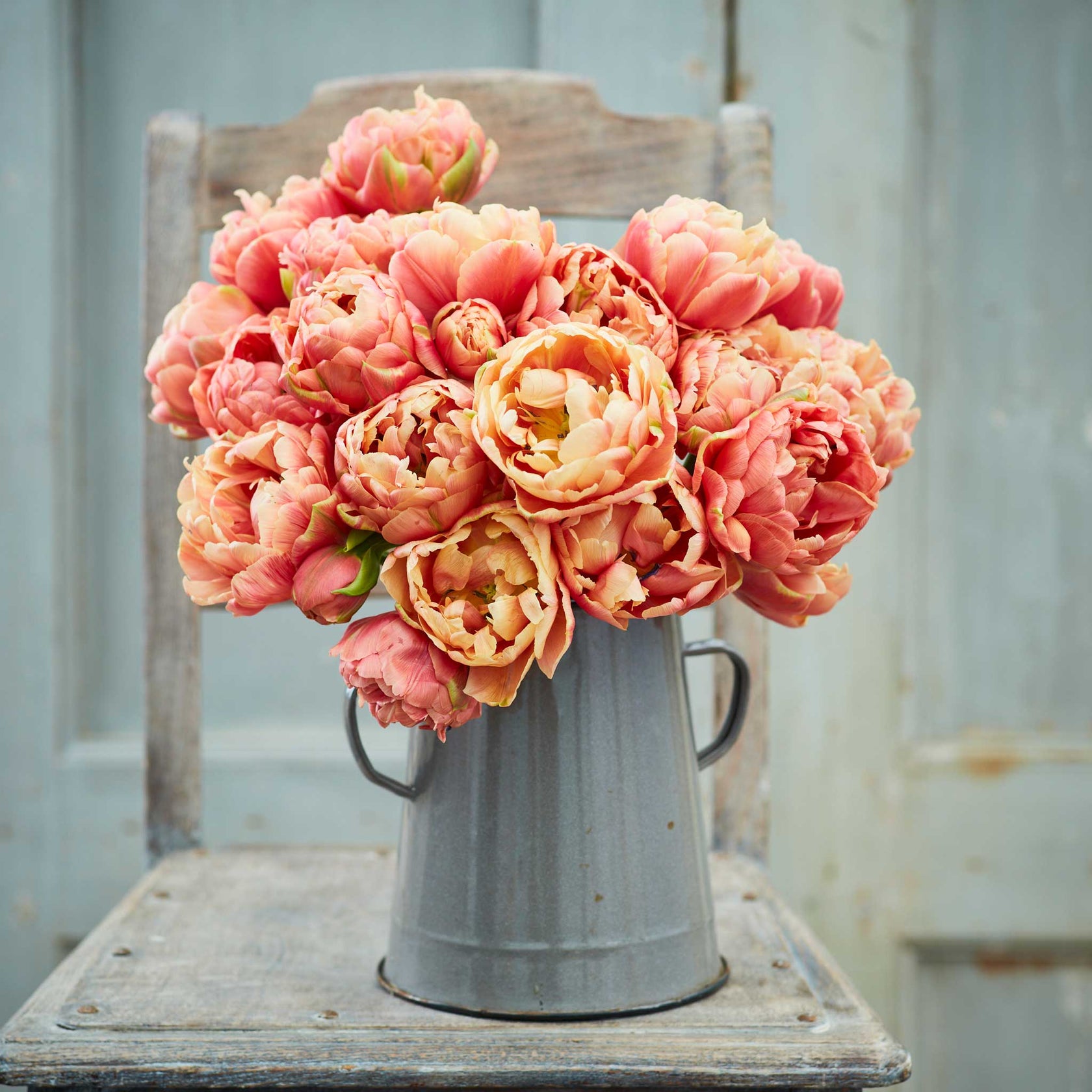 Double Late Tulip Bulbs - Copper Image | Fall Flower Bulbs | Eden Brothers