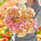 Tulip & Daffodil Promenade Mix | Fall Flower Bulbs | Eden Brothers