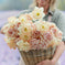Tulip & Daffodil Wonderland Mix | Fall Flower Bulbs | Eden Brothers