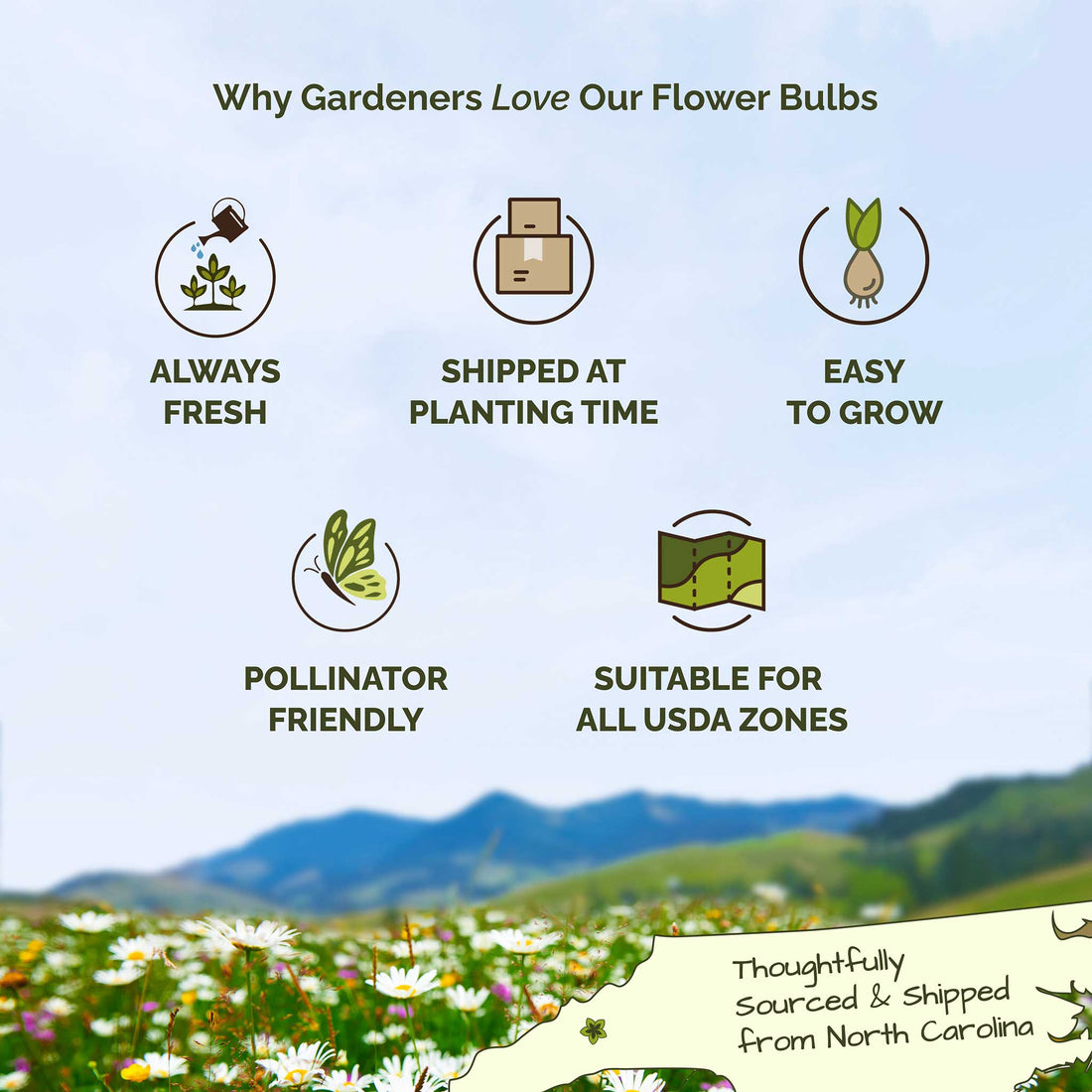 Tulip Bulbs - Passion Mix | Fall Flower Bulbs | Eden Brothers