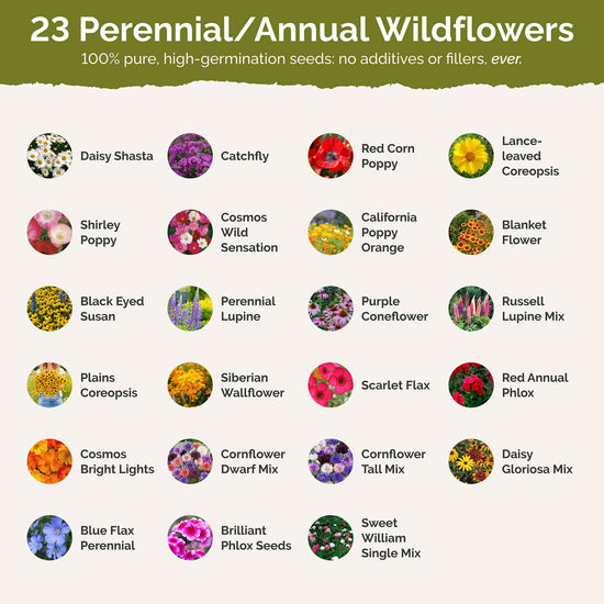 Vermont Wildflower Seed Mix | Wildflower Seeds | Eden Brothers