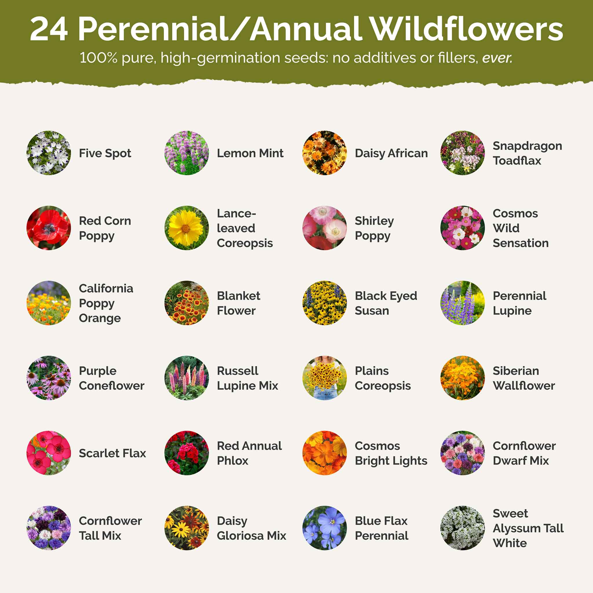 Virginia Wildflower Seed Mix | Wildflower Seeds | Eden Brothers