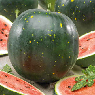 Watermelon Seeds | Shop 24 Varieties | Eden Brothers