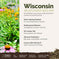 Wisconsin Wildflower Seed Mix | Wildflower Seeds | Eden Brothers