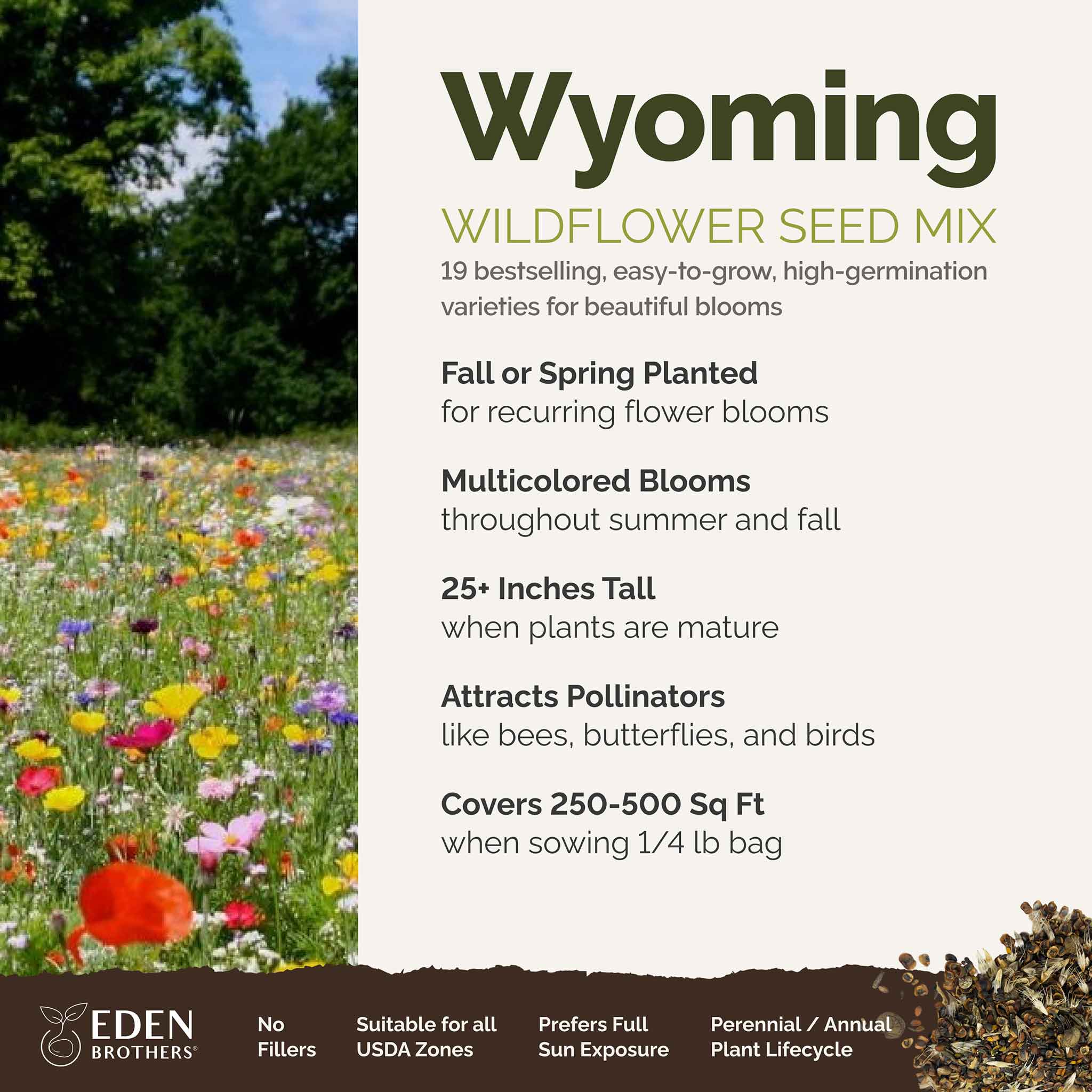 Wyoming Wildflower Seed Mix | Wildflower Seeds | Eden Brothers