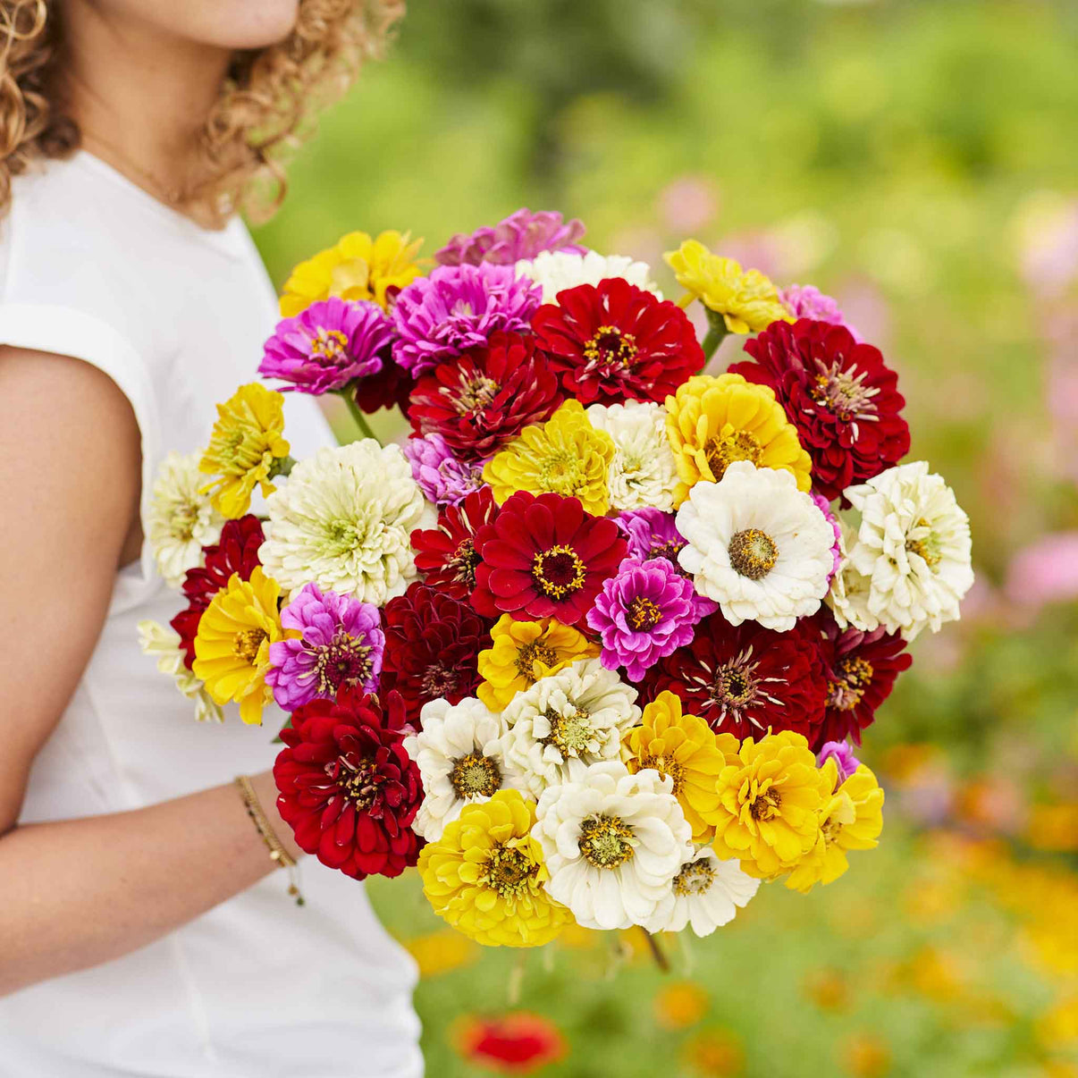 Zinnia Seeds - Benary Mix | Flower Seeds in Packets & Bulk | Eden Brothers