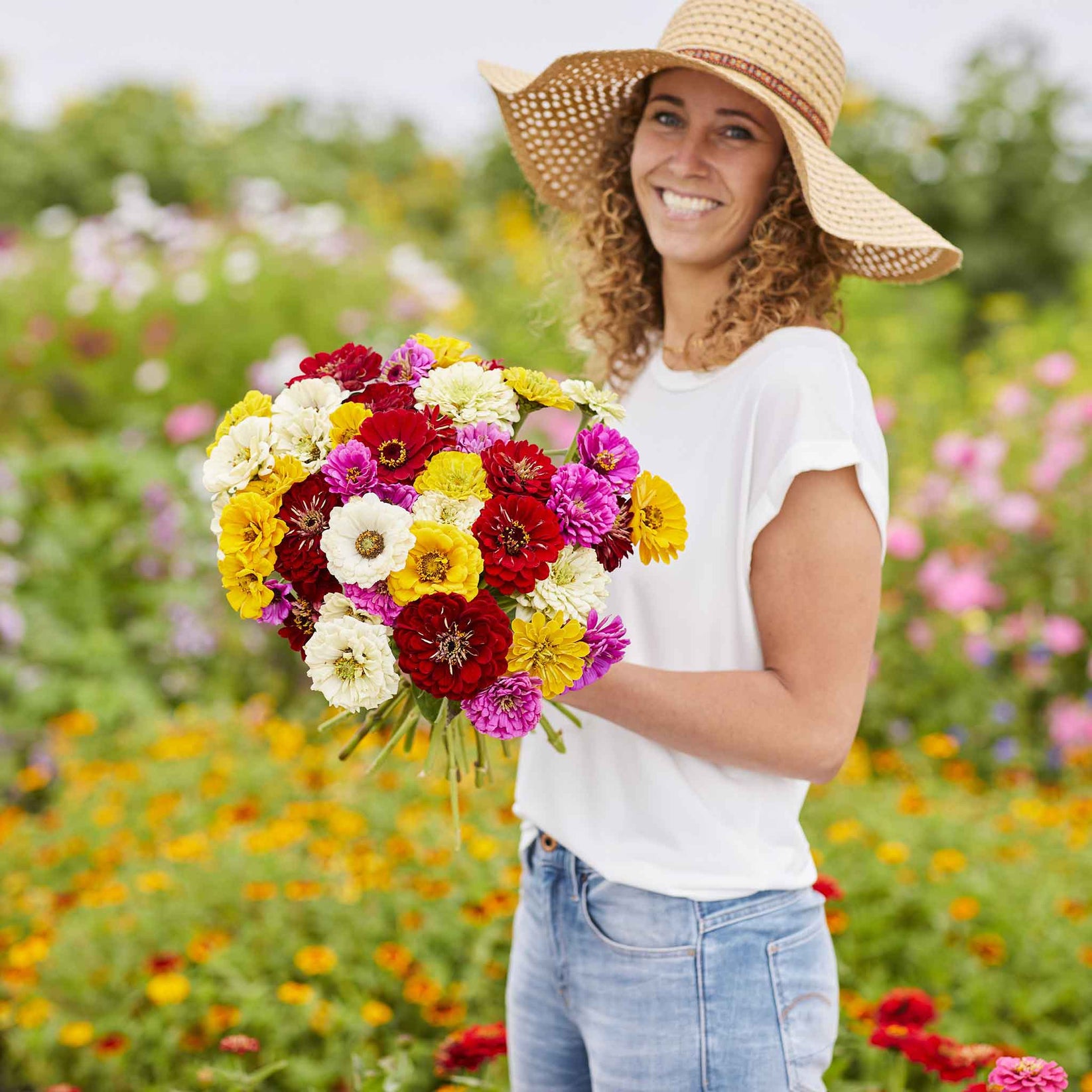 Zinnia Seeds - Benary Mix | Flower Seeds in Packets & Bulk | Eden Brothers