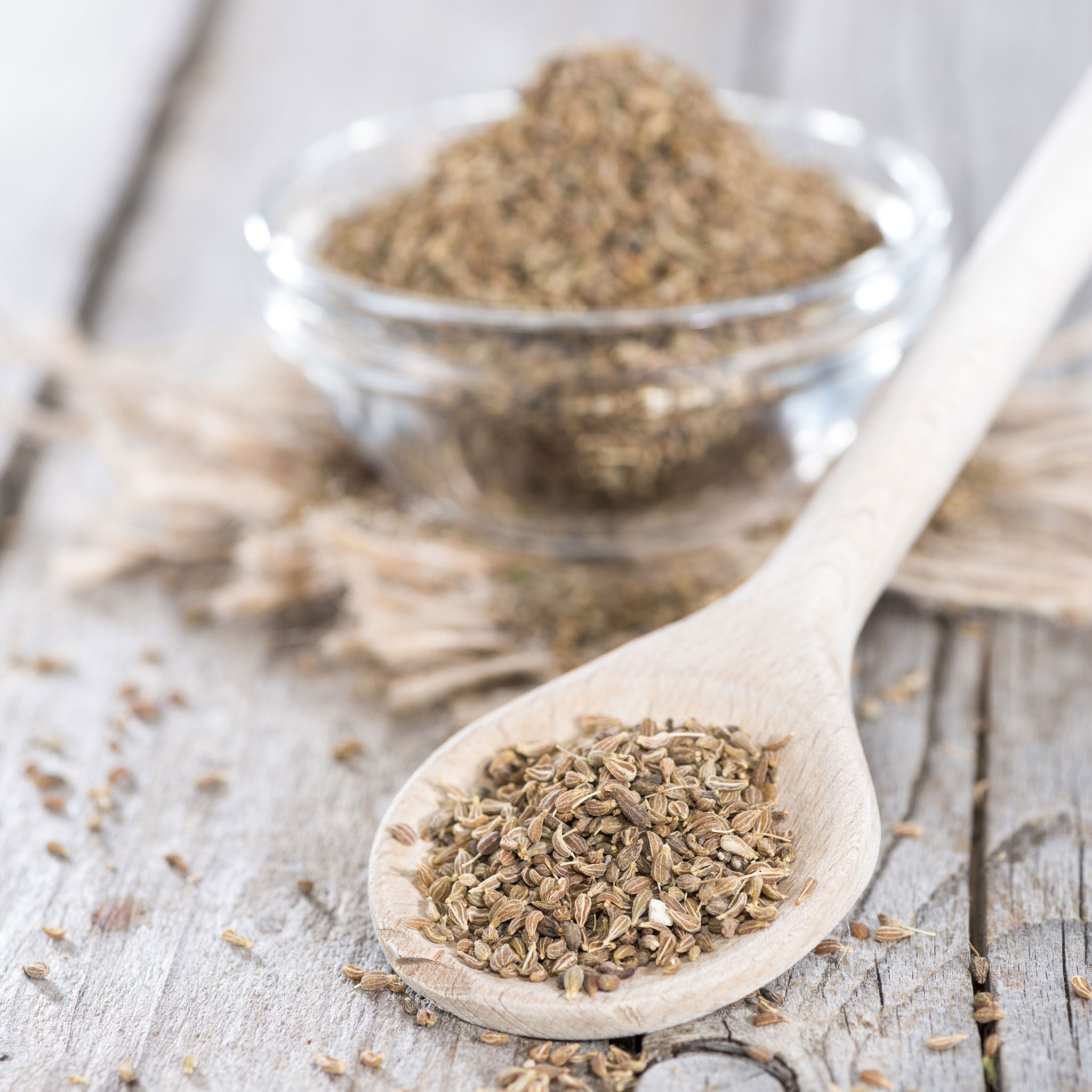 Anise Seeds | Herb Seeds in Packets & Bulk | Eden Brothers