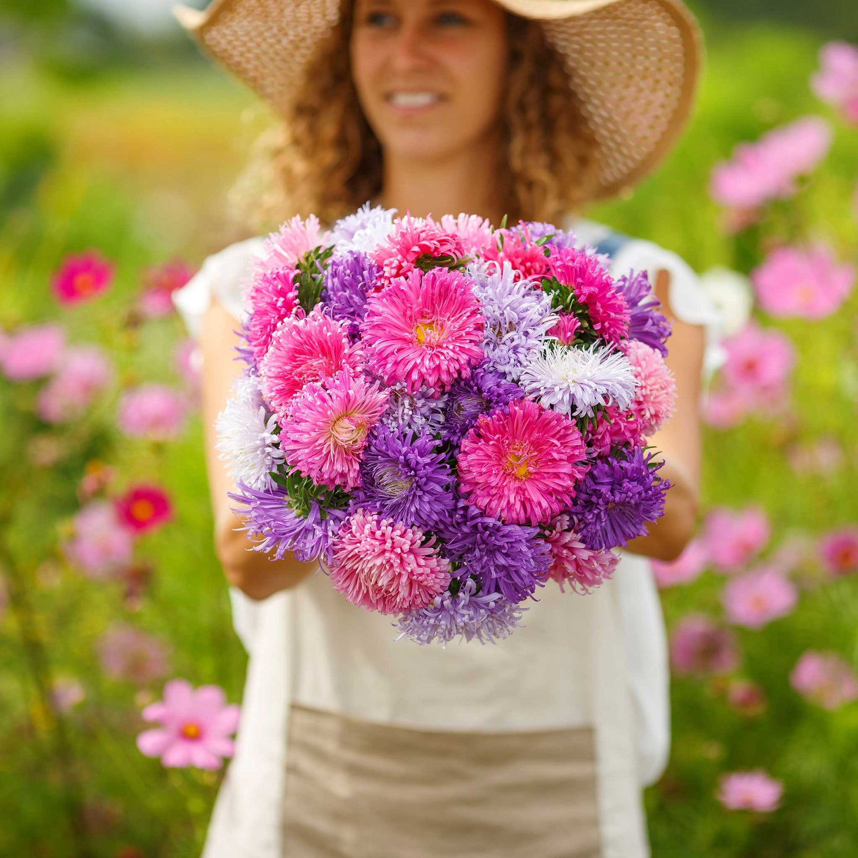 China Aster Seeds - Giants of California | Flower Seeds in Packets ...