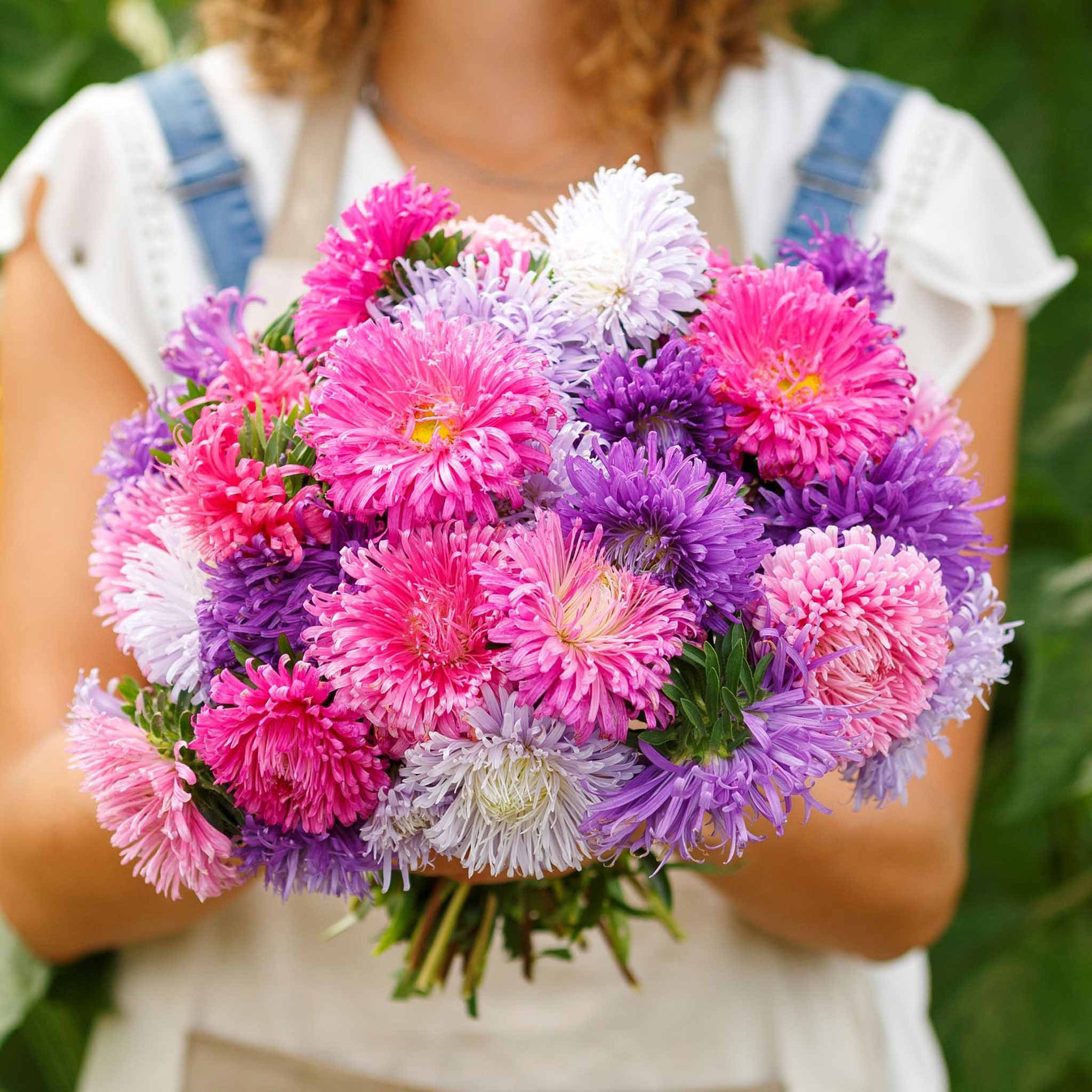 China Aster Seeds - Giants of California | Flower Seeds in Packets ...