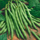 Bean Seeds - Blue Lake 274 | Vegetable Seeds in Packets & Bulk | Eden ...