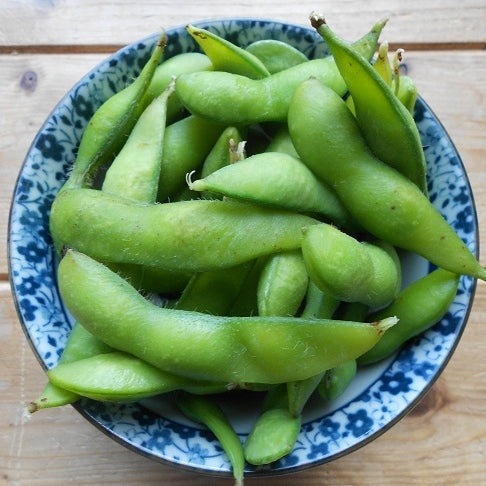 Bean Seeds - Edamame | Vegetable Seeds in Packets & Bulk | Eden Brothers