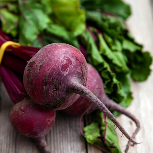 Organic Beet Seeds - Detroit Dark Red | Vegetable Seeds in Packets ...