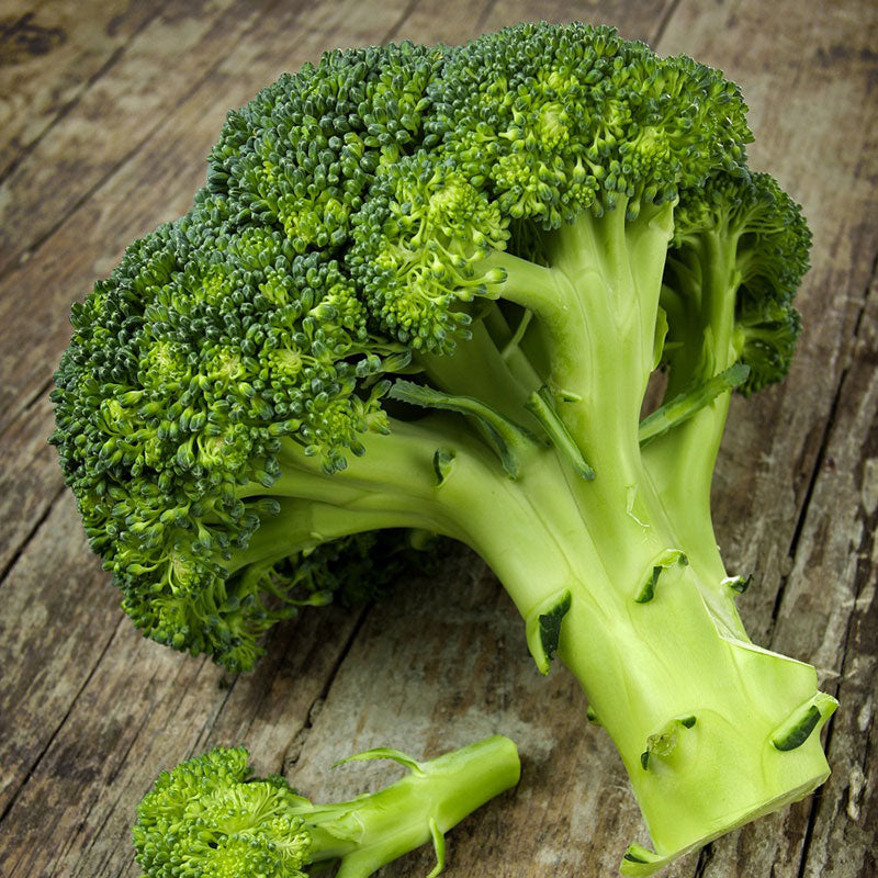 Broccoli Seeds - Waltham 29 | Vegetable Seeds in Packets & Bulk | Eden ...