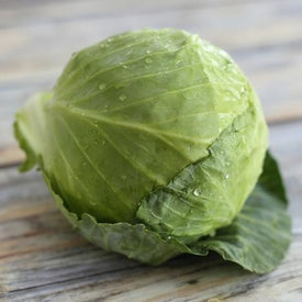 Cabbage Seeds | Shop 14 Varieties | Eden Brothers