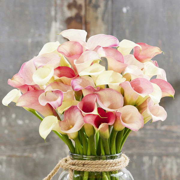 Bouquet Of Pink Calla Lilies