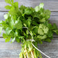 Organic Cilantro/Coriander Seeds - Long Standing | Herb Seeds in ...