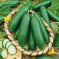Cucumber Seeds - Diva | Vegetable Seeds in Packets & Bulk | Eden Brothers