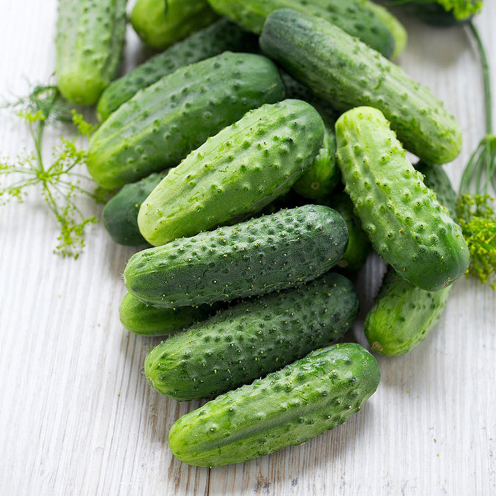 Organic Cucumber Seeds - SMR 58 | Vegetable Seeds in Packets & Bulk ...