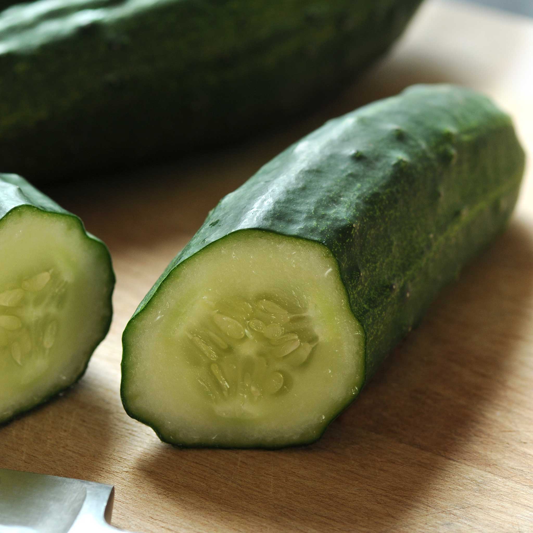 Cucumber Seeds - Patio Snacker | Vegetable Seeds in Packets & Bulk ...