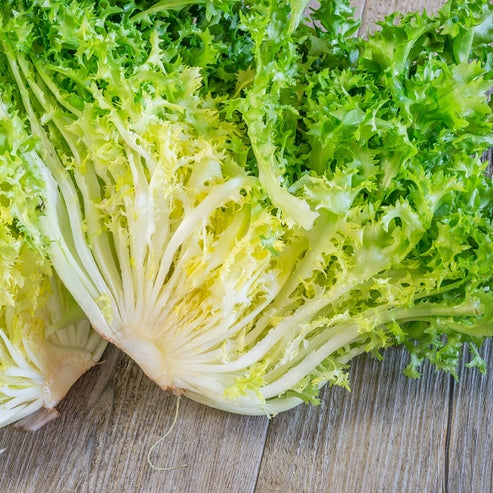 Endive Seeds - Frisee | Vegetable Seeds in Packets & Bulk | Eden Brothers