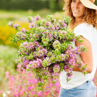 Rare Seeds (Heirloom) | 69 Varieties | Rare and Unusual Seeds from Eden ...