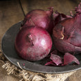 Onion Seeds - Ruby Red | Vegetable Seeds in Packets & Bulk | Eden Brothers