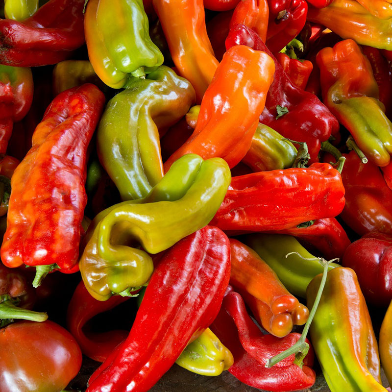 Hot Pepper Seeds - Anaheim Chili | Vegetable Seeds in Packets & Bulk ...