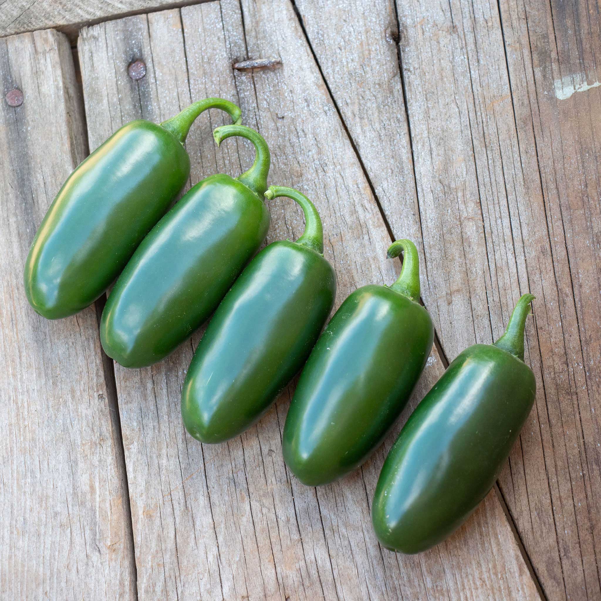 Hot Pepper Seeds - Capitan F1 | Vegetable Seeds in Packets & Bulk ...