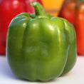 Sweet Pepper Seeds - Emerald Giant | Vegetable Seeds in Packets & Bulk ...