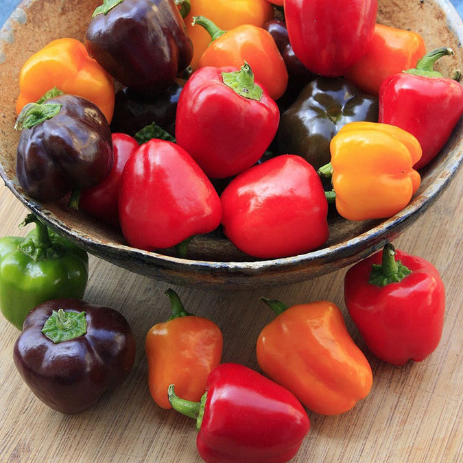 Sweet Pepper Seeds - Mini Bell Blend | Vegetable Seeds in Packets ...