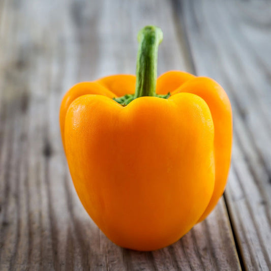 Pepper Seeds - Sweet/Bell | Shop 34 Varieties | Eden Brothers – Page 2