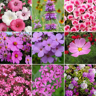 Flower & Wildflower Mixes | Shop 120 Varieties | Eden Brothers – Page 5