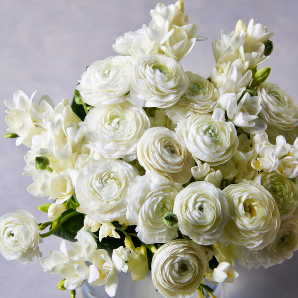 Ranunculus & Freesia Bulbs - White Mix | Fall Flower Bulbs | Eden Brothers