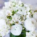 Ranunculus & Freesia Bulbs - White Mix | Fall Flower Bulbs | Eden Brothers