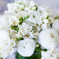 Ranunculus & Freesia Bulbs - White Mix | Fall Flower Bulbs | Eden Brothers