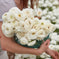 Ranunculus Bulbs - White | Flower Bulbs | Eden Brothers