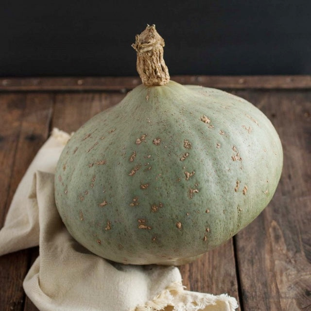 Winter Squash Seeds - Sweet Meat | Vegetable Seeds in Packets & Bulk ...