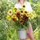 Sunny - Sunflower Seed Mix | Wildflower Seeds | Eden Brothers