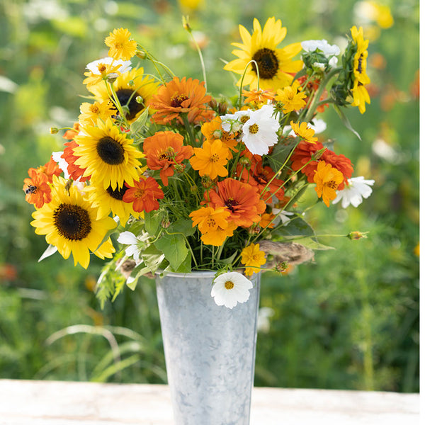 Sunset Mix - Orange, Yellow & White Flower Seed Mix | Wildflower Seeds ...