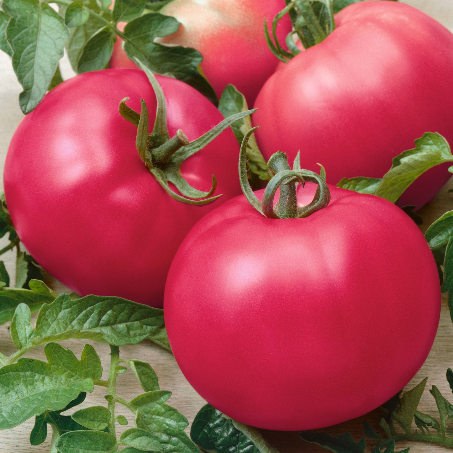 Tomato Seeds - Chef's Choice Pink F1 | Vegetable Seeds in Packets ...
