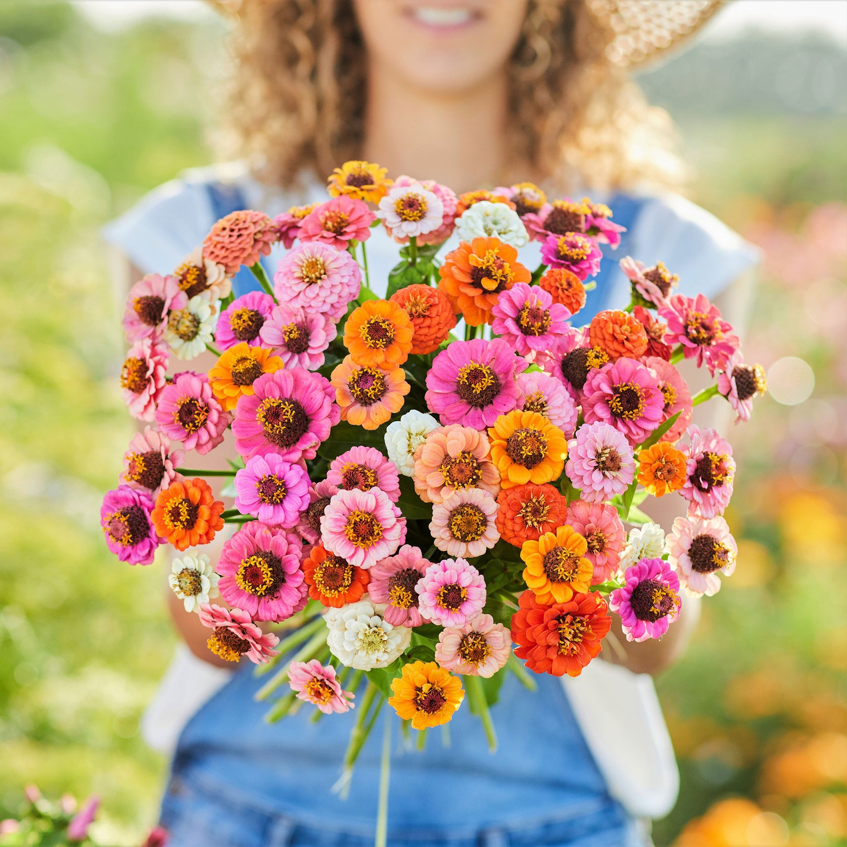 Zinnia Seeds - Button Box Mix | Flower Seeds in Packets & Bulk | Eden ...