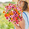 Zinnia Seeds - Button Box Mix | Flower Seeds in Packets & Bulk | Eden ...