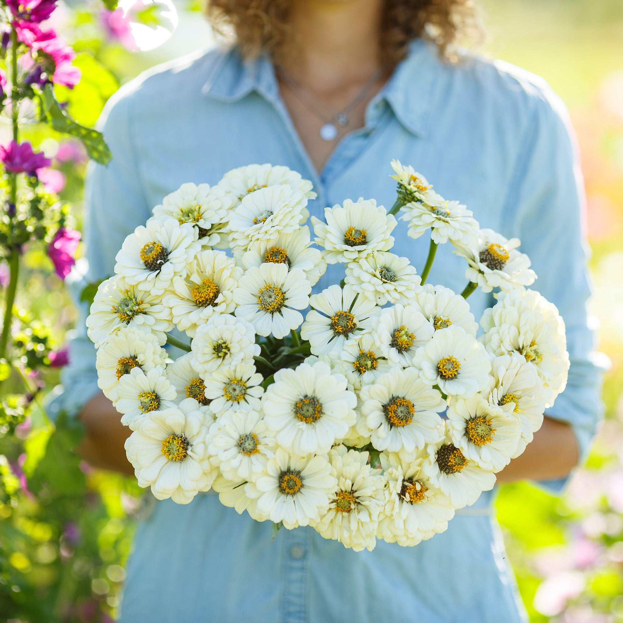 Zinnia Seeds - Polar Bear | Flower Seeds in Packets & Bulk | Eden Brothers