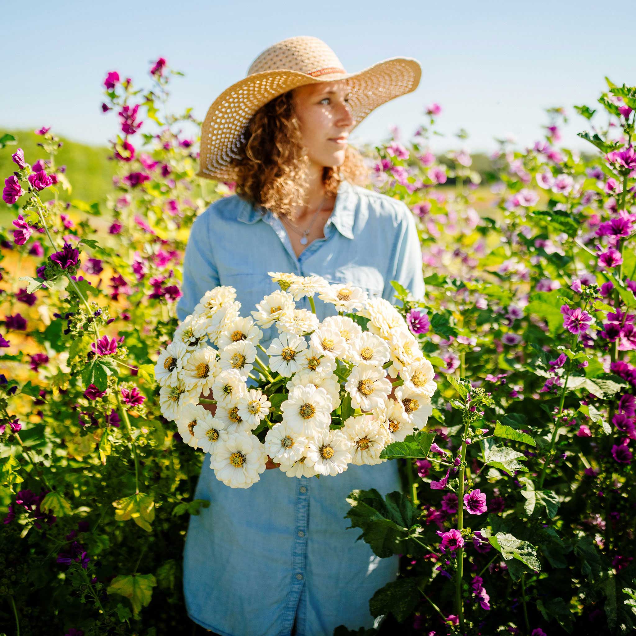 Zinnia Seeds - Polar Bear | Flower Seeds in Packets & Bulk | Eden Brothers